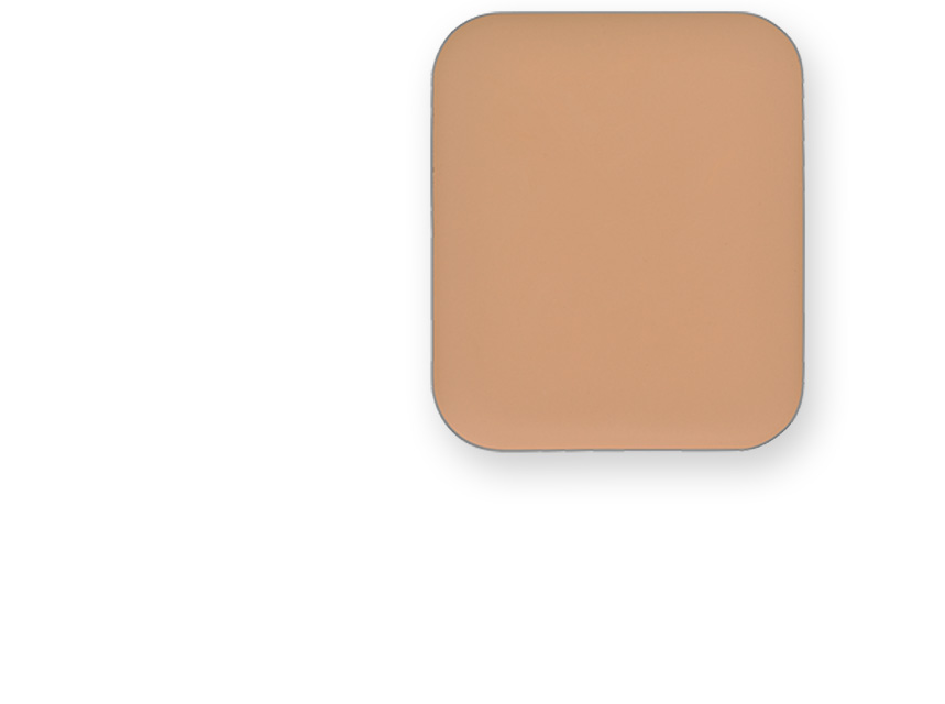 Perfect Foundation Shade 05 | LimeLife by Alcone